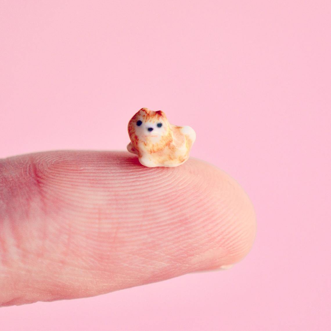 Worlds Tiniest Porcelain Pomeranian Figurine | Camp Hollow